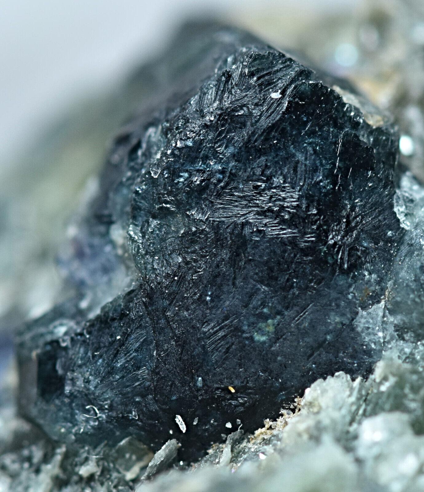 Dravite Tourmaline Crystal Specimen on Green Mica Matrix From Badakshan ...
