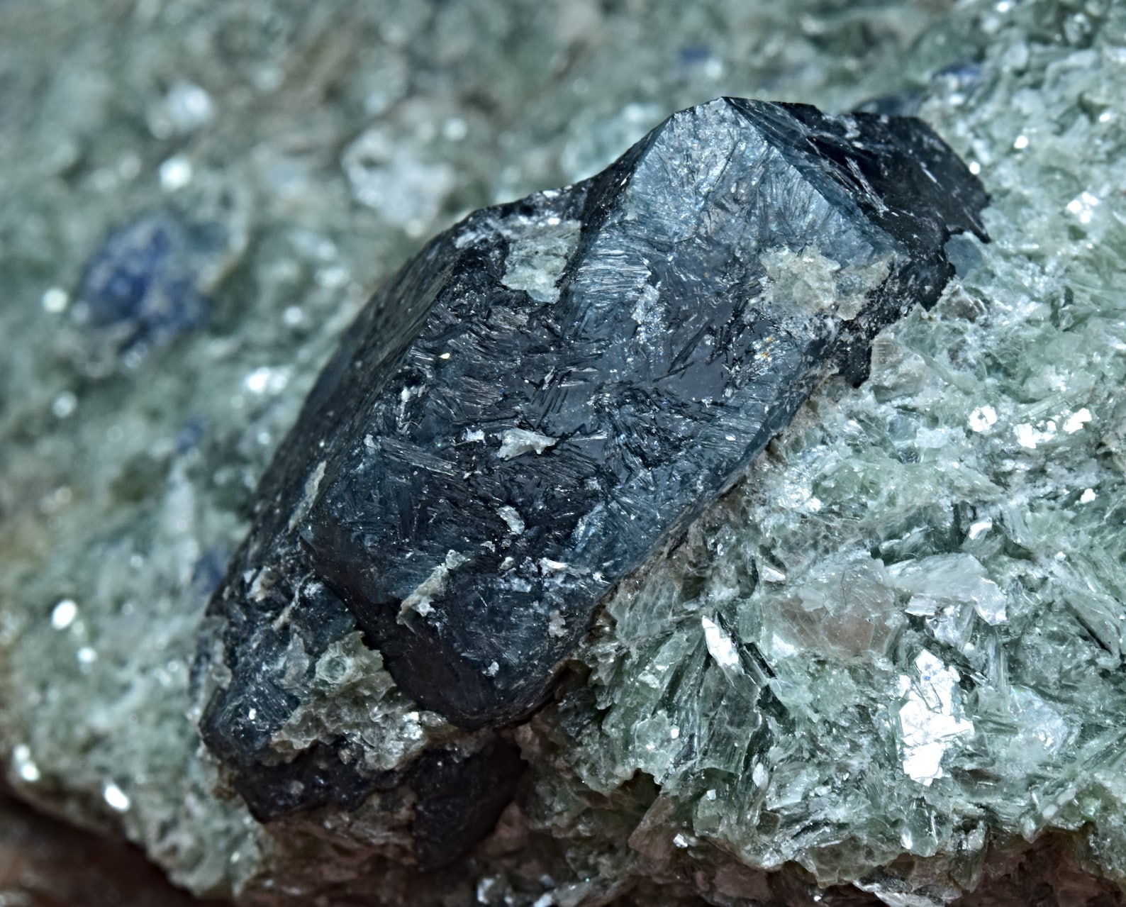 Rare Terminated Lustrous Dravite Tourmaline Crystal On Green | Etsy