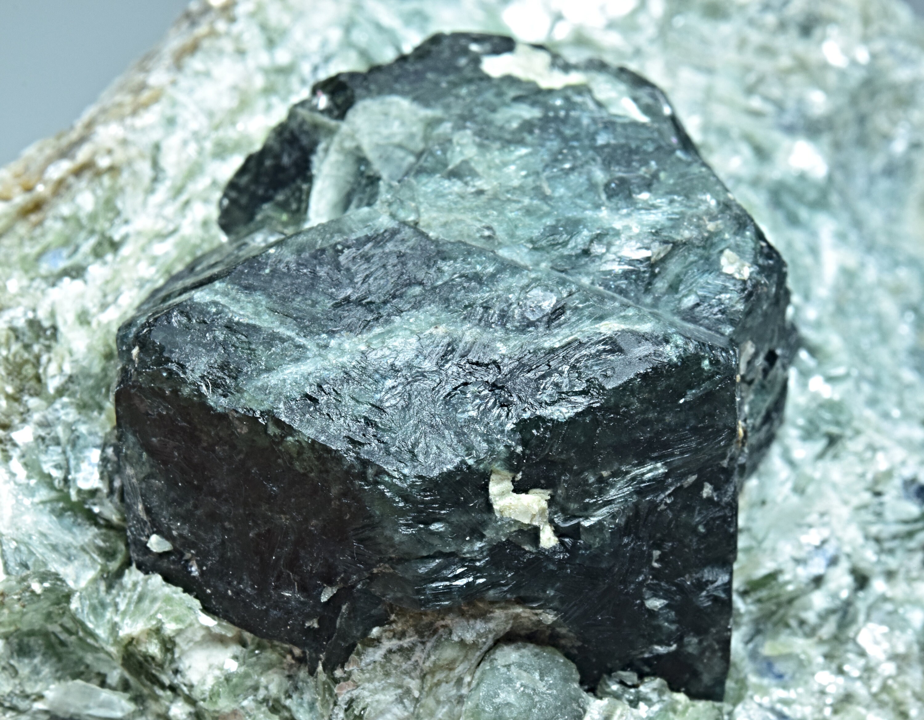 Rare Terminated Dravite Tourmaline Crystal ON Green Mica Matrix 281 ...