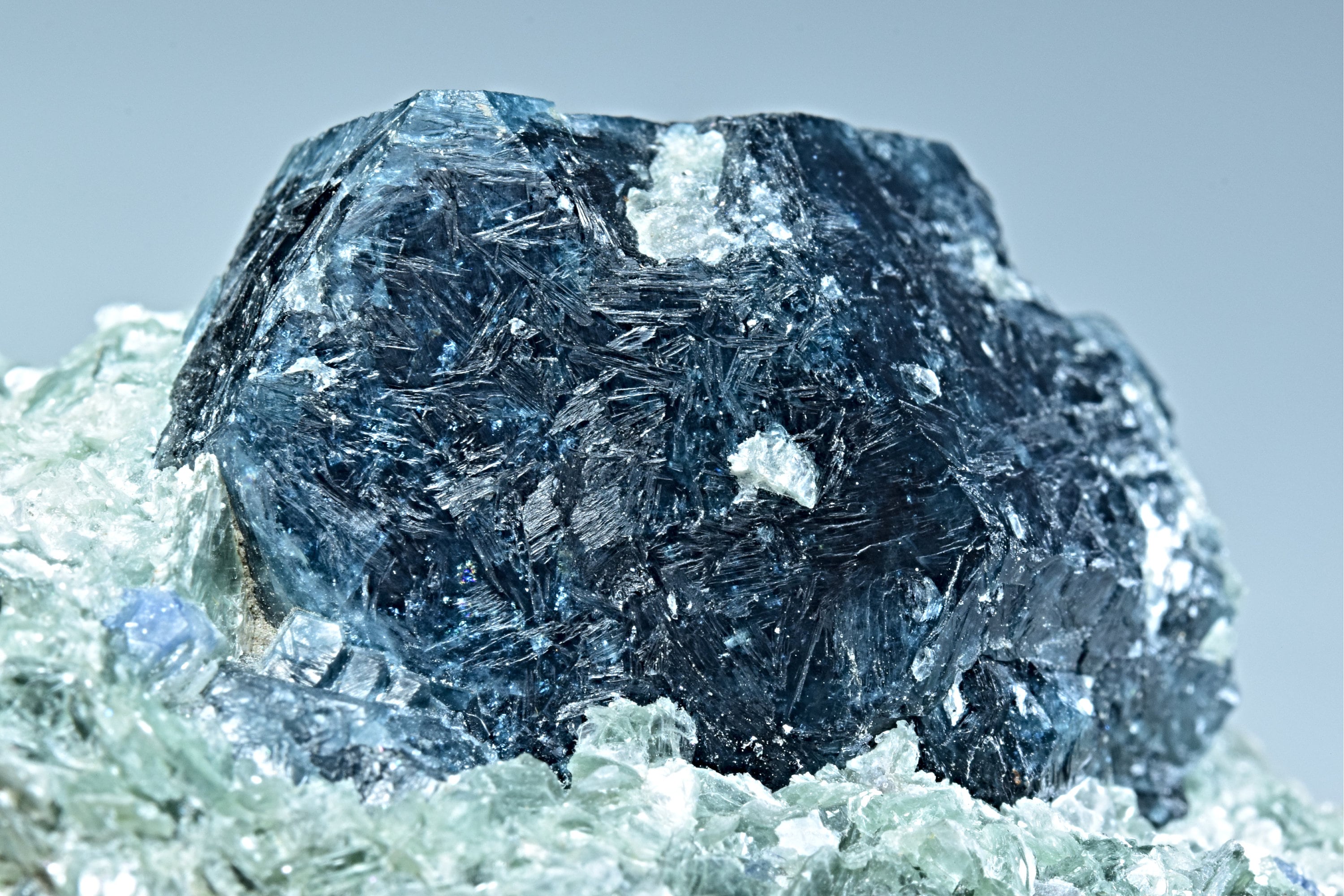 Rare Terminated Lustrous Dravite Tourmaline Crystal on Green - Etsy