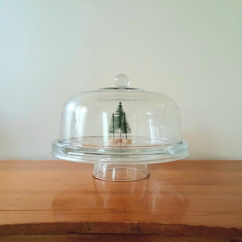 Glass Cake Dome - Etsy