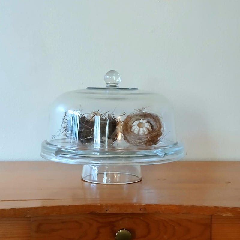 Glass Cake Dome - Etsy