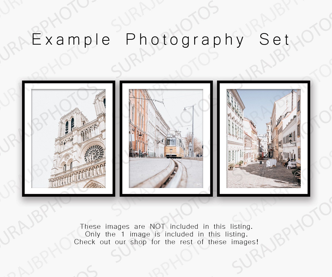 Notre Dame Cathedral Wall Art European Architecture Digital Print ...