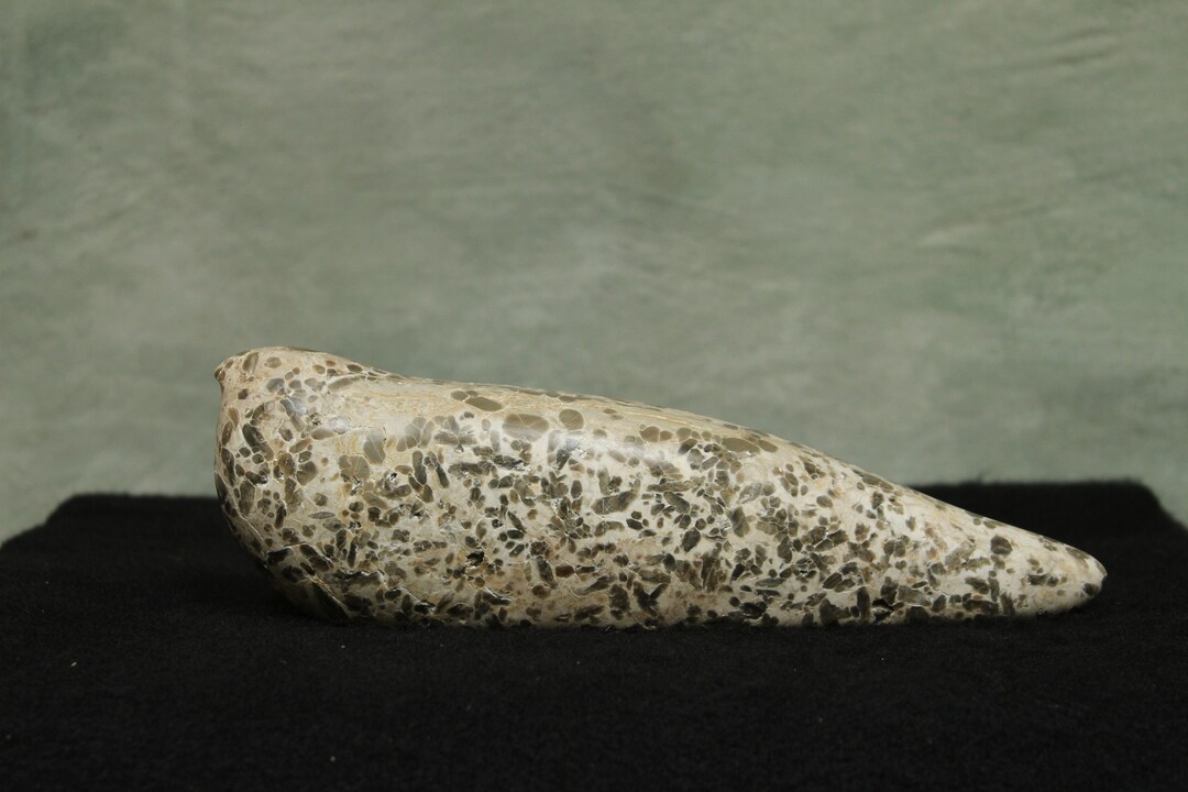 Alabaster Bird nightjar Hand Flatterer Sculpture - Etsy