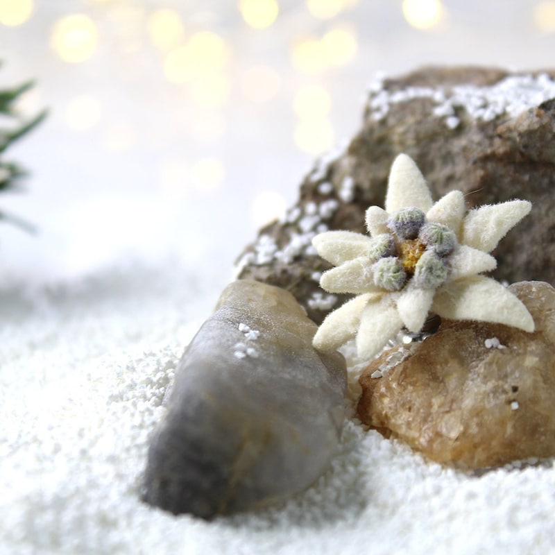 Edelweiss Brooch - Etsy