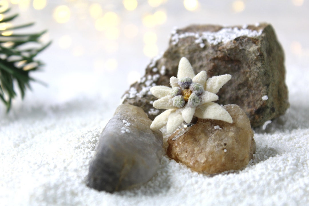 Edelweiss Brooch Edelweiss Lapel Pin White Flower Brooch Shawl Pin - Etsy