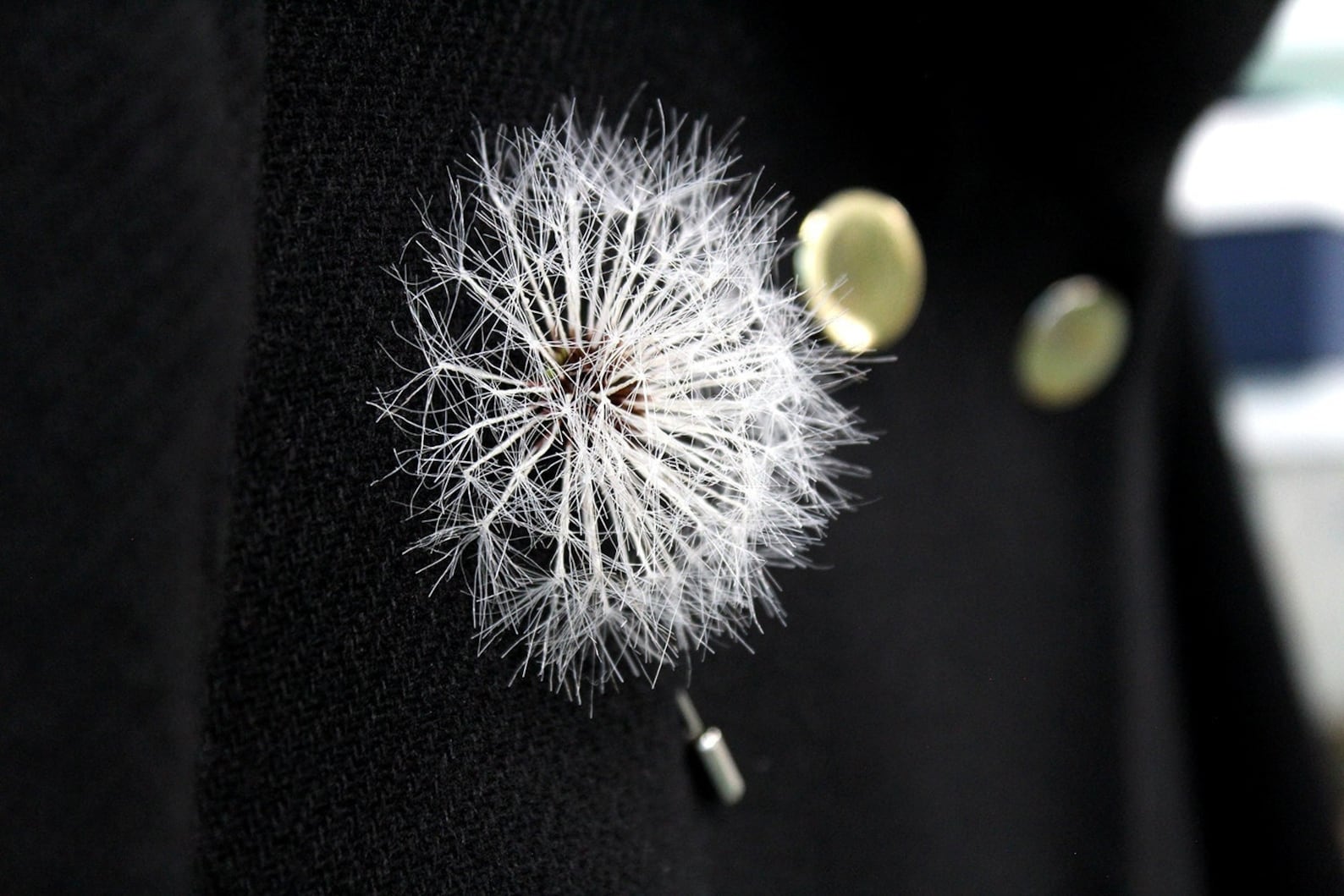 Dandelion Flower Brooch, Large Flower Brooch, Miracle White Textile ...