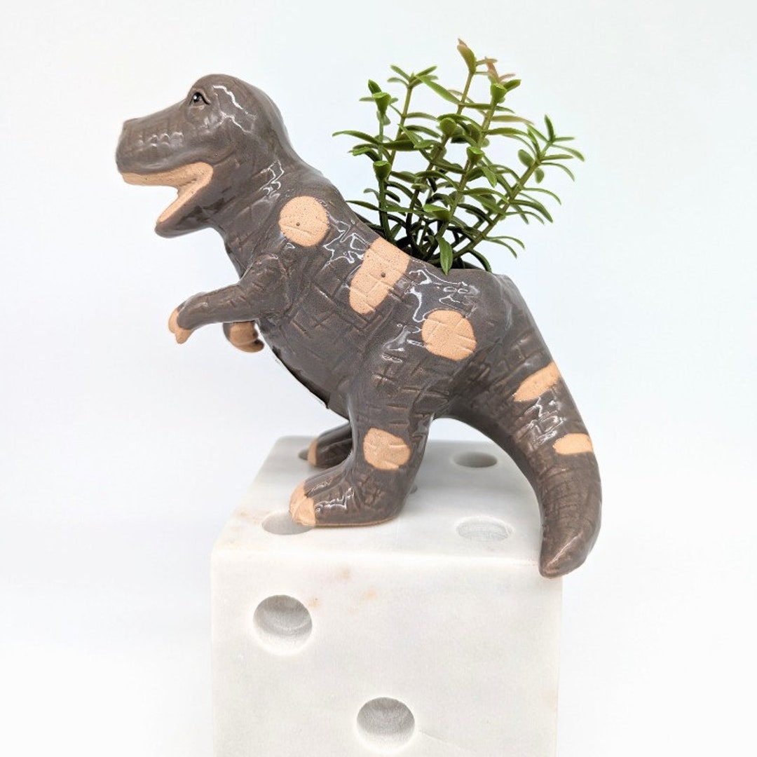 Grey T-rex Dinosaur Planter Pot, 13cm Dinosaur Gifts Kids Gifts Kids ...