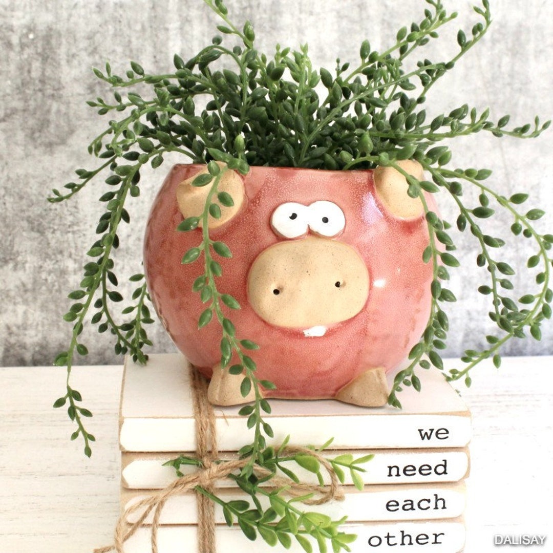 Pink Cheeky Pig Planter Pot Pig Gifts Succulent Planter Pots for Plants ...
