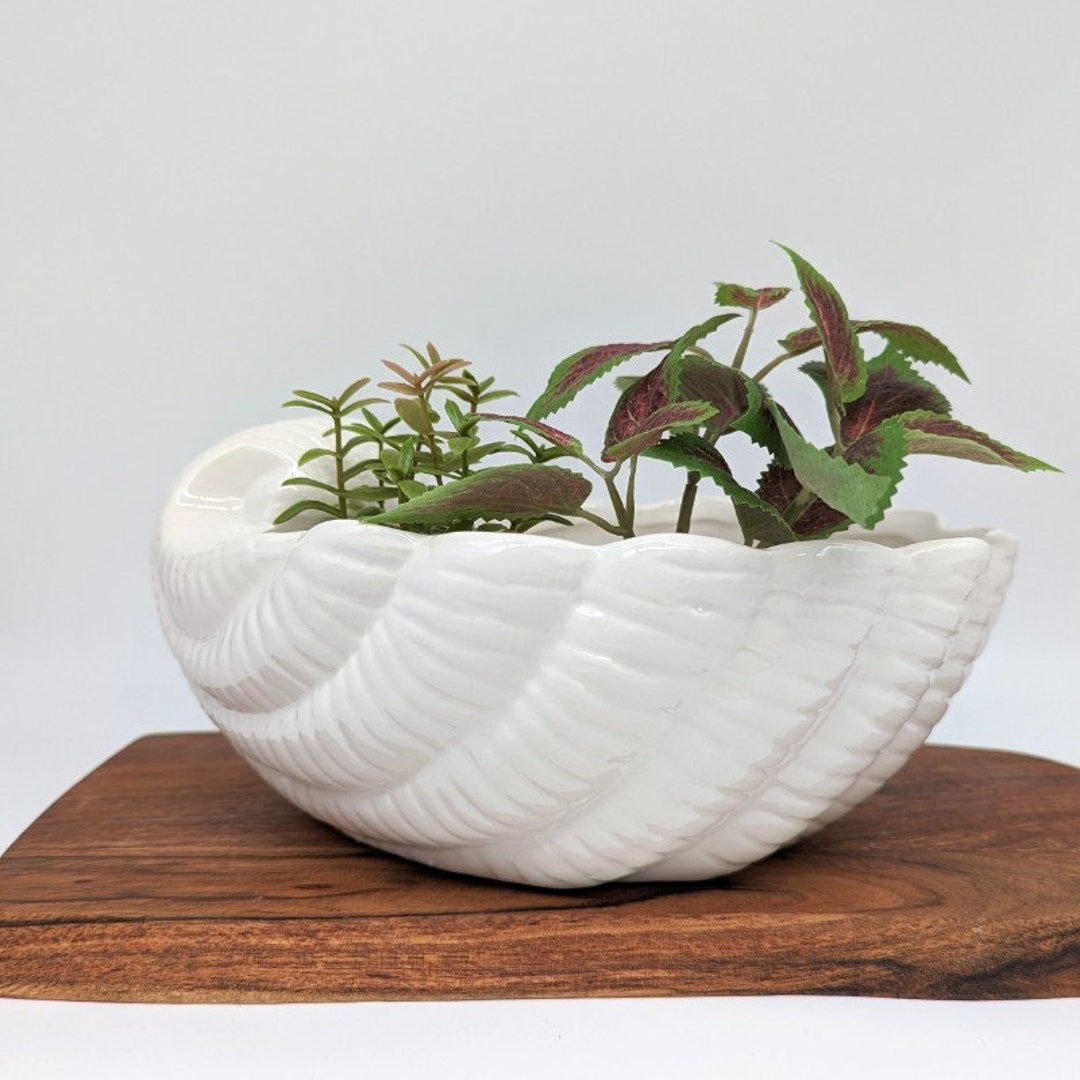 White Clam Shell Ceramic Planter Pot, 22cm | Shell Gift | Herb Pot ...