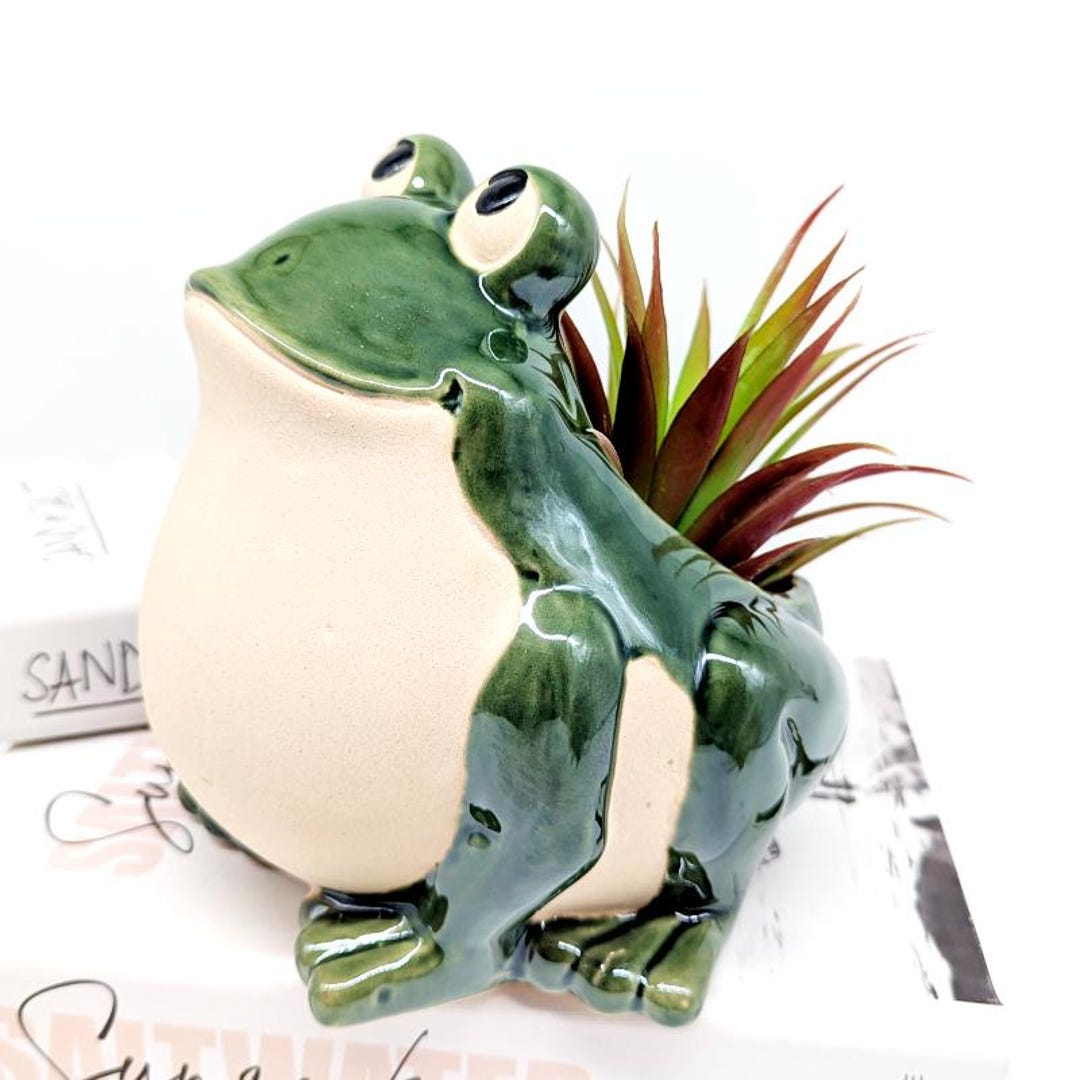 Smiling Green Frog Planter Pot - Etsy Australia