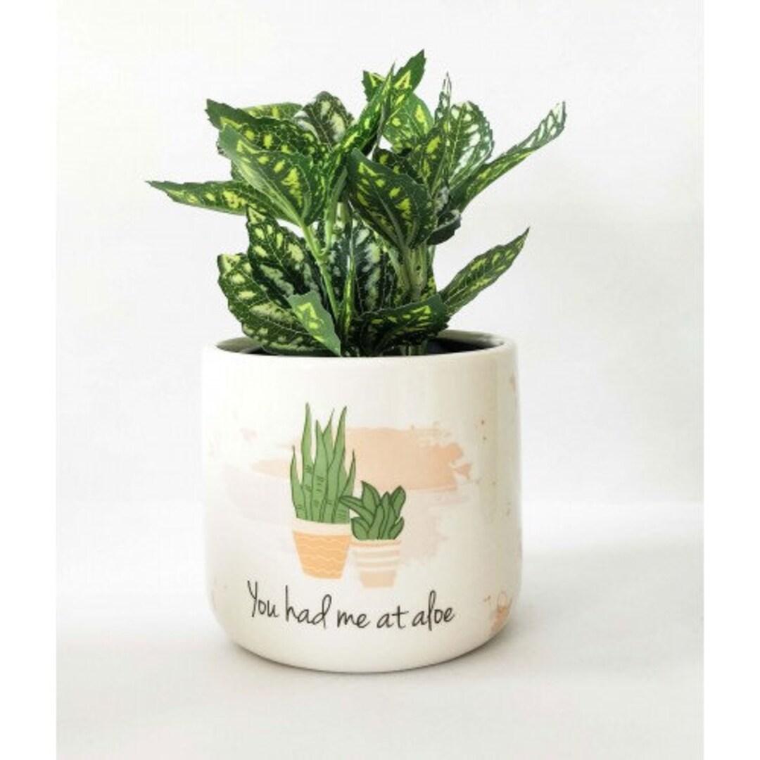 Aloe Quote Ceramic Planter, 13x11 Cm | Aloe Planter | Quote Planter ...
