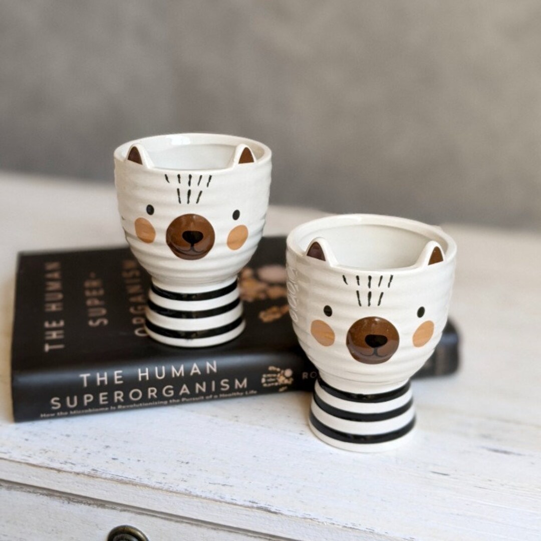 Bear Ceramic Pot Planter Set | Cute Succulent Planters, Drainage Hole ...