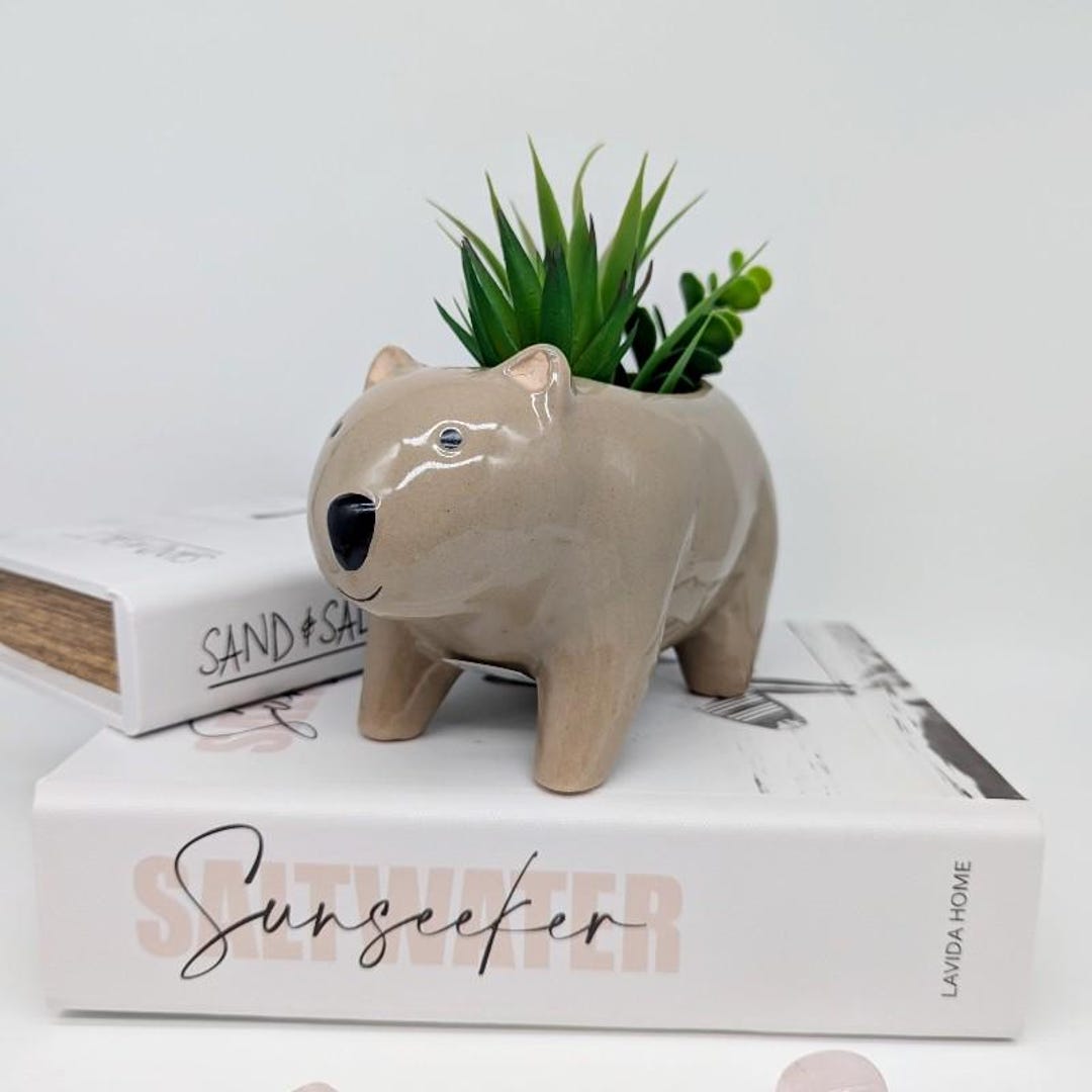 Aussie Wombat Planter Pot | Native Australian Gifts | Succulent Planter ...