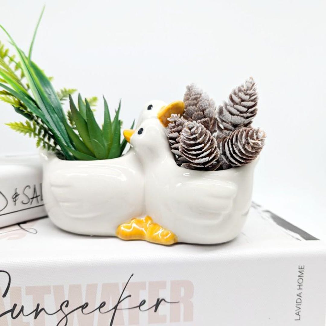 Hugging Duck Planter Pot | Duck Gifts | Succulent Planter - Etsy