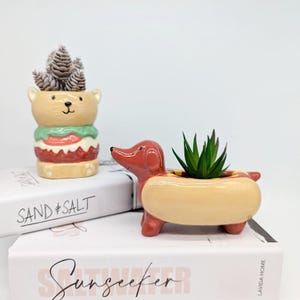 Hamburger Cat Planter Pot | Funny Novelty Planter | Gift for Cat Mum ...