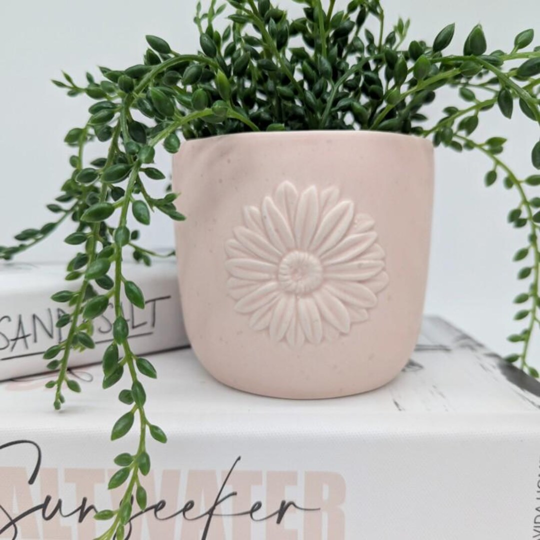 Pink Daisy Flower Planter Pot | Floral Pot | Succulent Planter | Pots ...