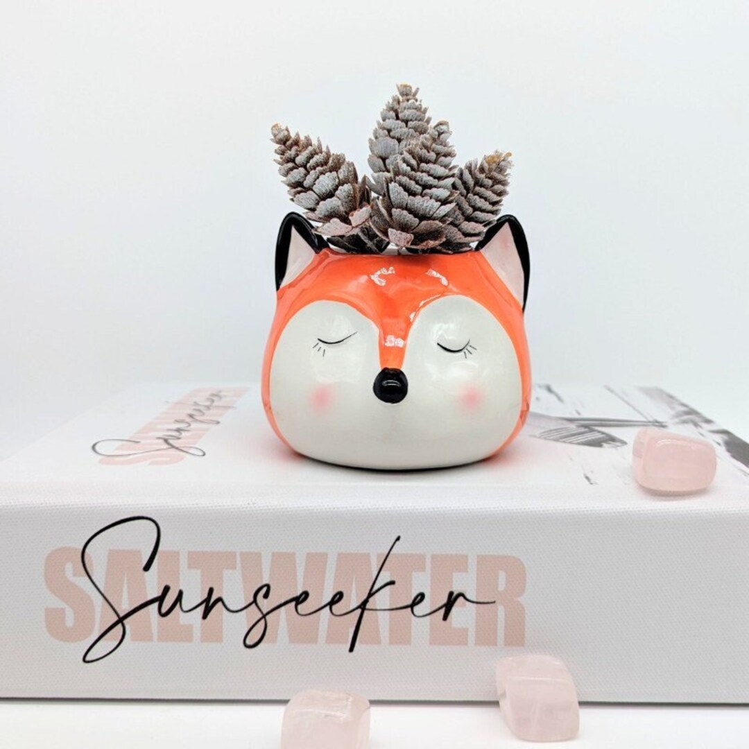 Nosy Fox Ceramic Fox Pot Planter | Fox Gifts | Animal Gifts | Nursery ...