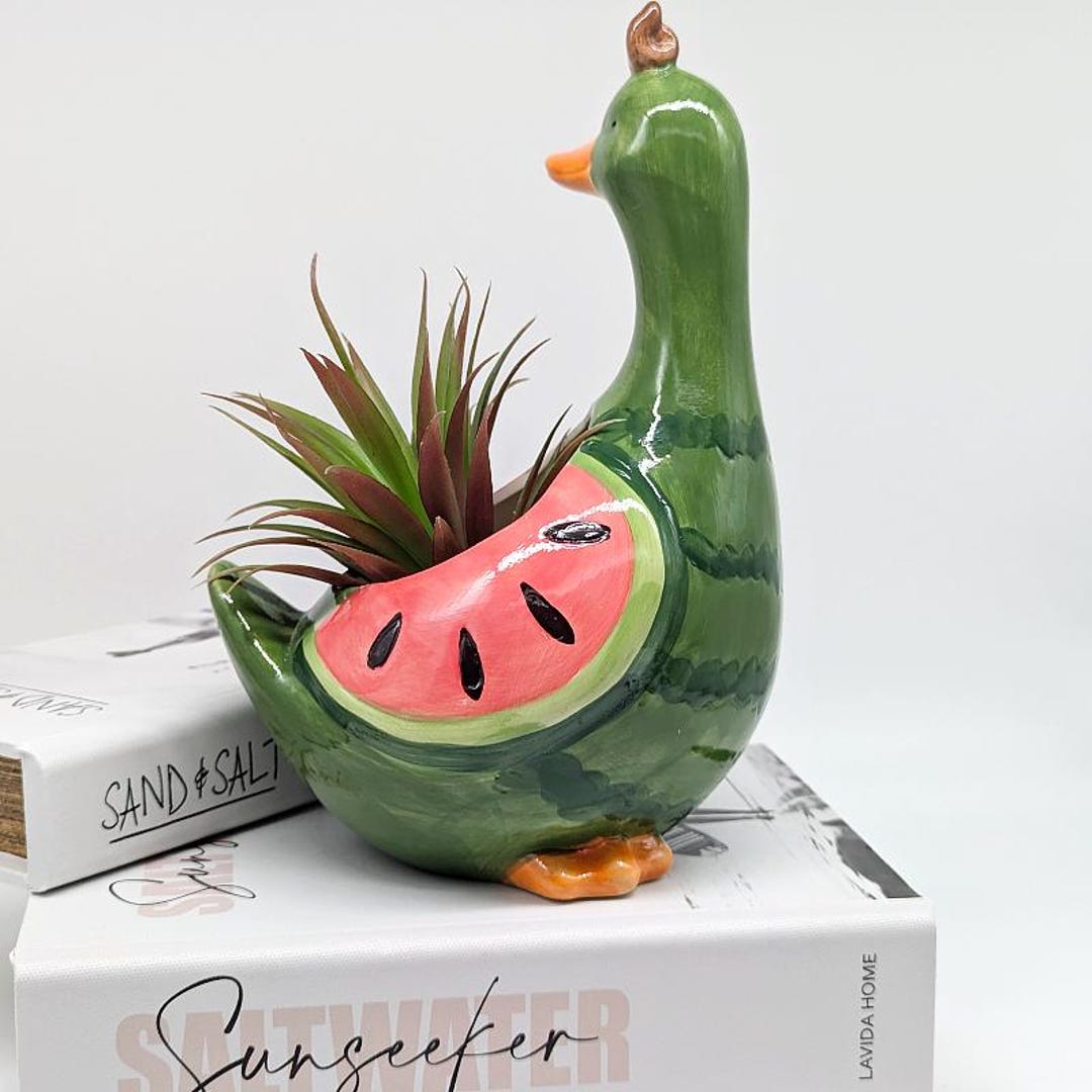 Green Watermelon Duck Planter Pot - Etsy