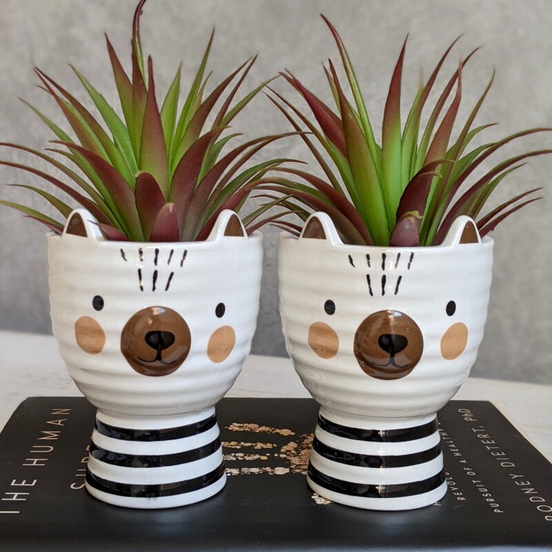 Bear Ceramic Pot Planter Set | Cute Succulent Planters, Drainage Hole ...