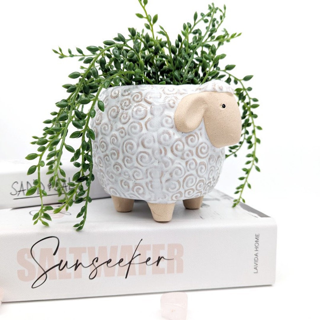 Wooly Sheep Planter Pot | Sheep Gifts | Succulent Planter - Etsy
