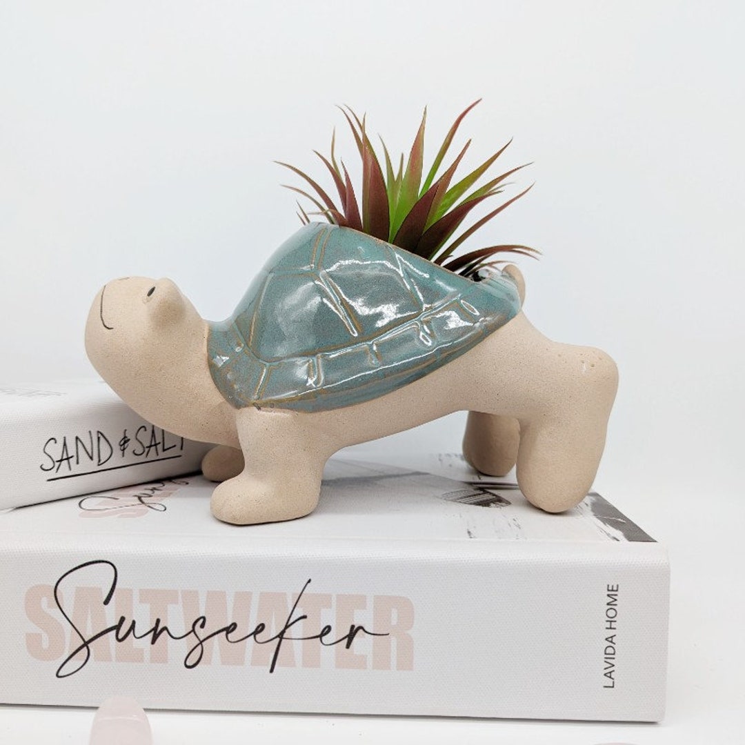 Large Turtle Succulent Planter Pot Hanger | Pot Sitter | Pot Climber ...