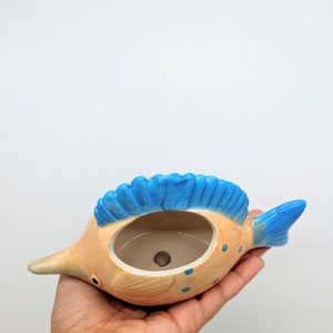 Colourful Fish Planter Pot | Pink Blue Fish Pot | Gift for Fish Lovers ...
