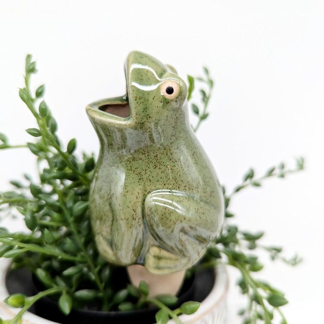 Green Frog Plant Watering Stake Spike | Frog Gifts | Gardening Gifts - Etsy