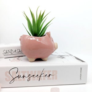 Pink Pig Planter Pot | Succulent Pot | Pig Gifts - Etsy