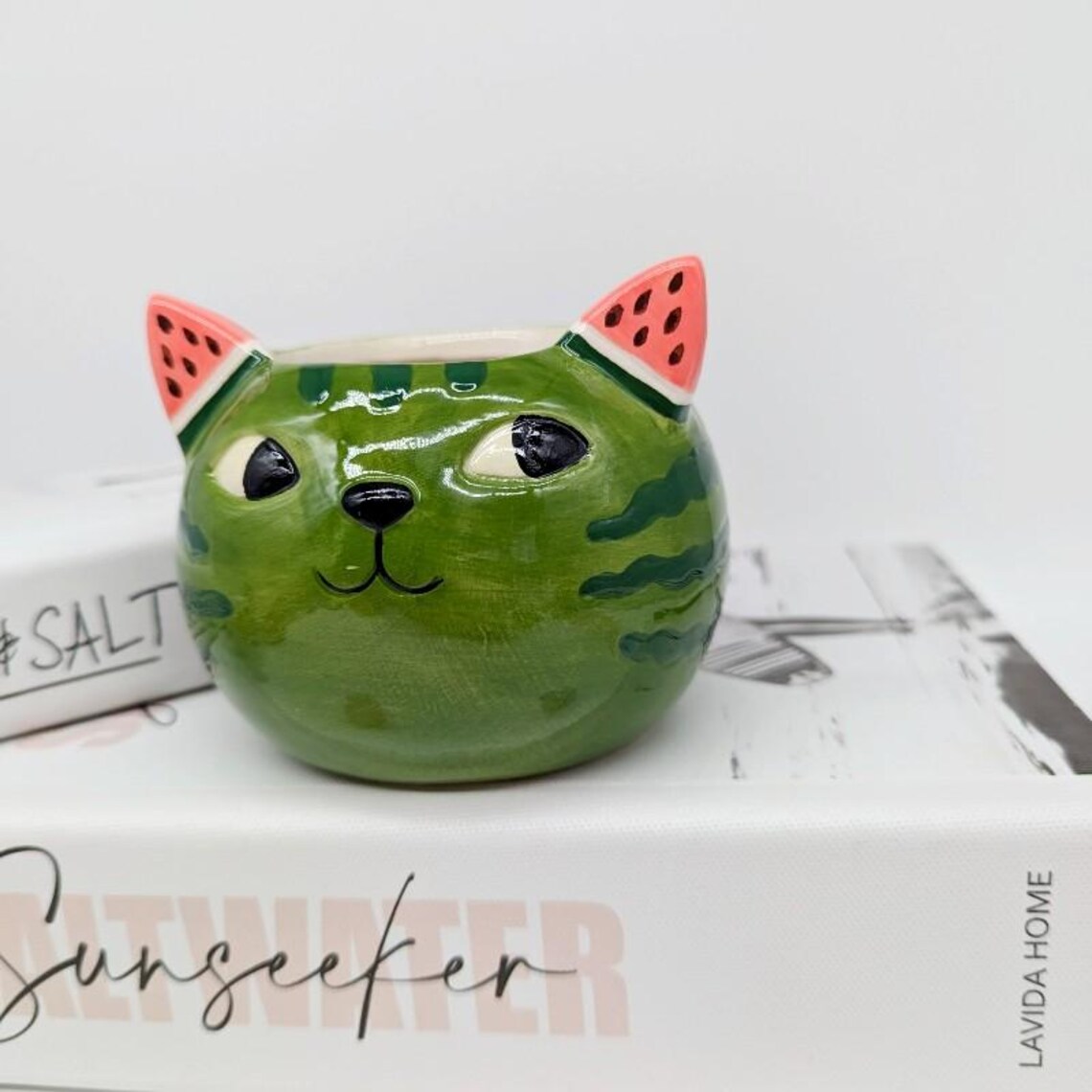 Ceramic Watermelon Cat Planter Pot: Funny Succulent Planter - Etsy
