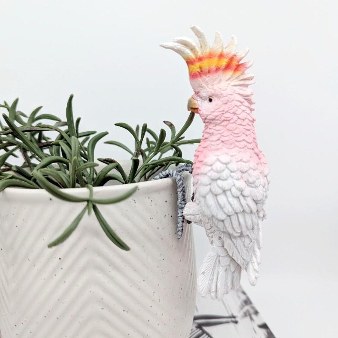 Pink Major Mitchell Cockatoo Bird Pot Sitter | Bird Gifts | Pot Climber ...