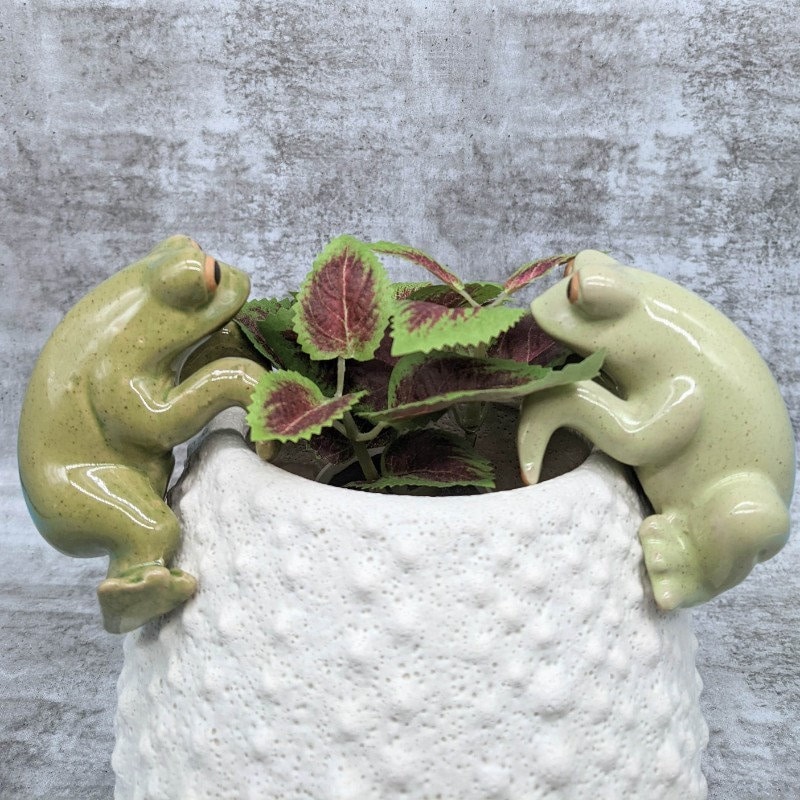 Frog - Etsy Australia