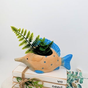 Colourful Fish Planter Pot | Pink Blue Fish Pot | Gift for Fish Lovers ...