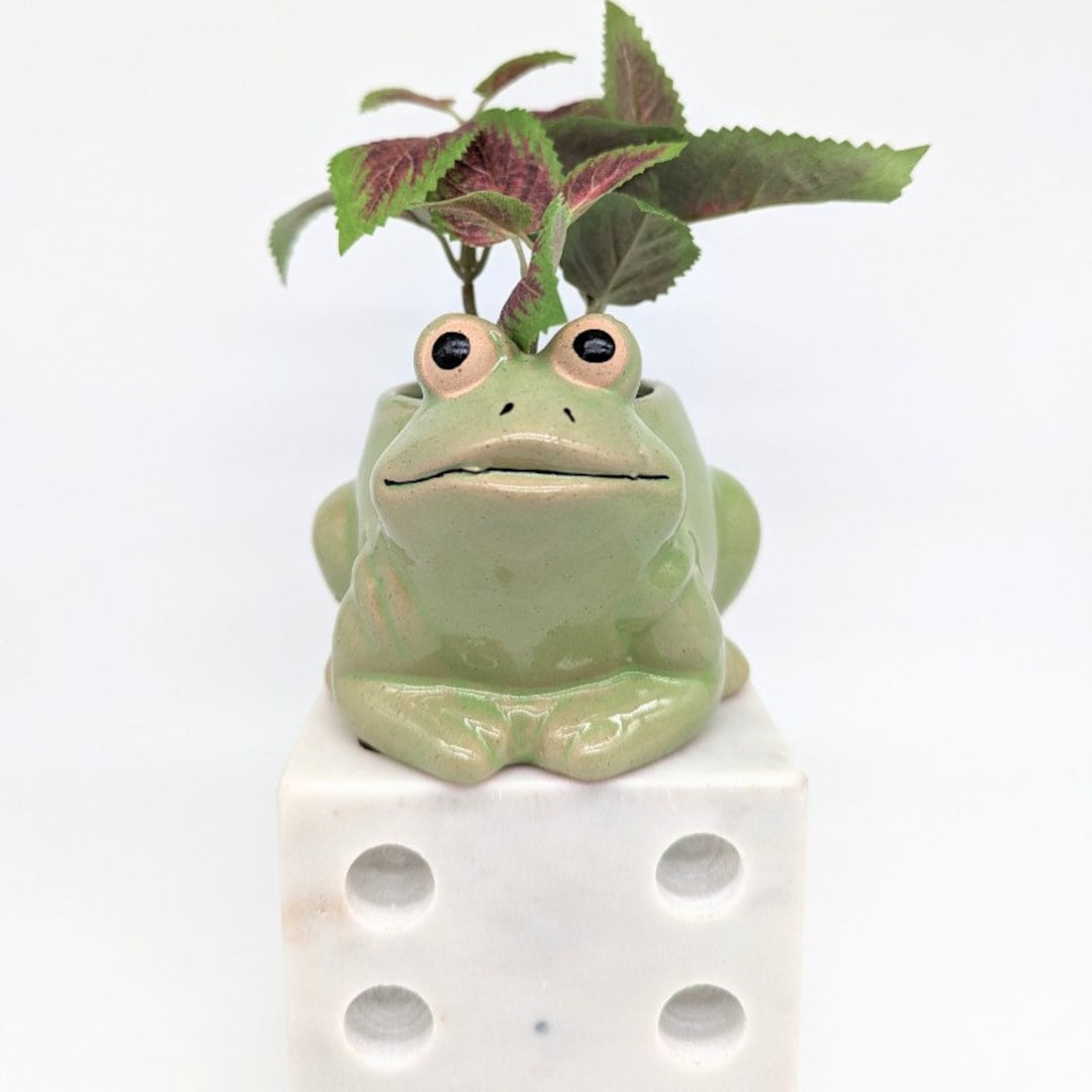 Green Frog Planter Pot, 12cm | Frog Gifts | Succulent Planter | Quirky ...