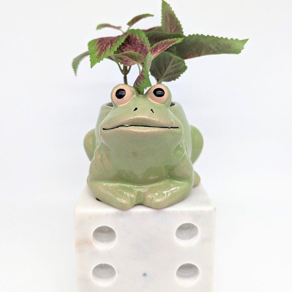 Frog Planter - Etsy