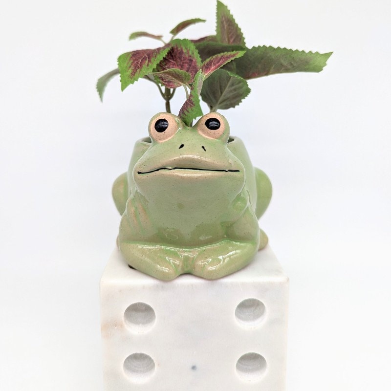 Frog Planter - Etsy
