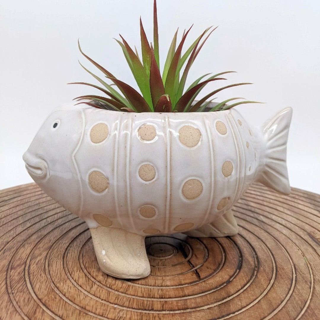 Natural White Paddling Fish Planter Pot, 20cm - Etsy
