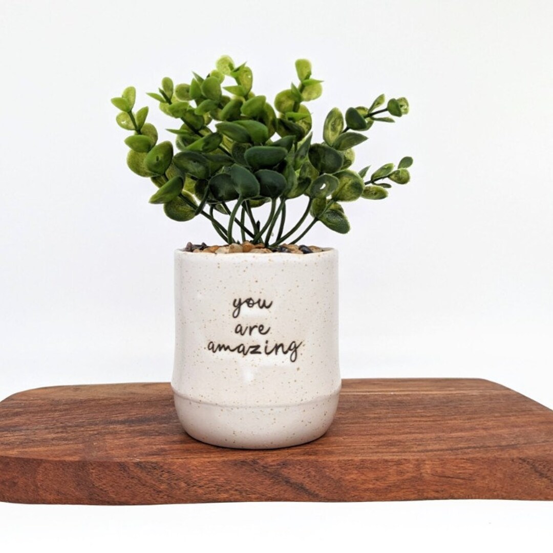 You Are Amazing Ceramic Pot With Artificial Succulent Plant, 15cm - Etsy