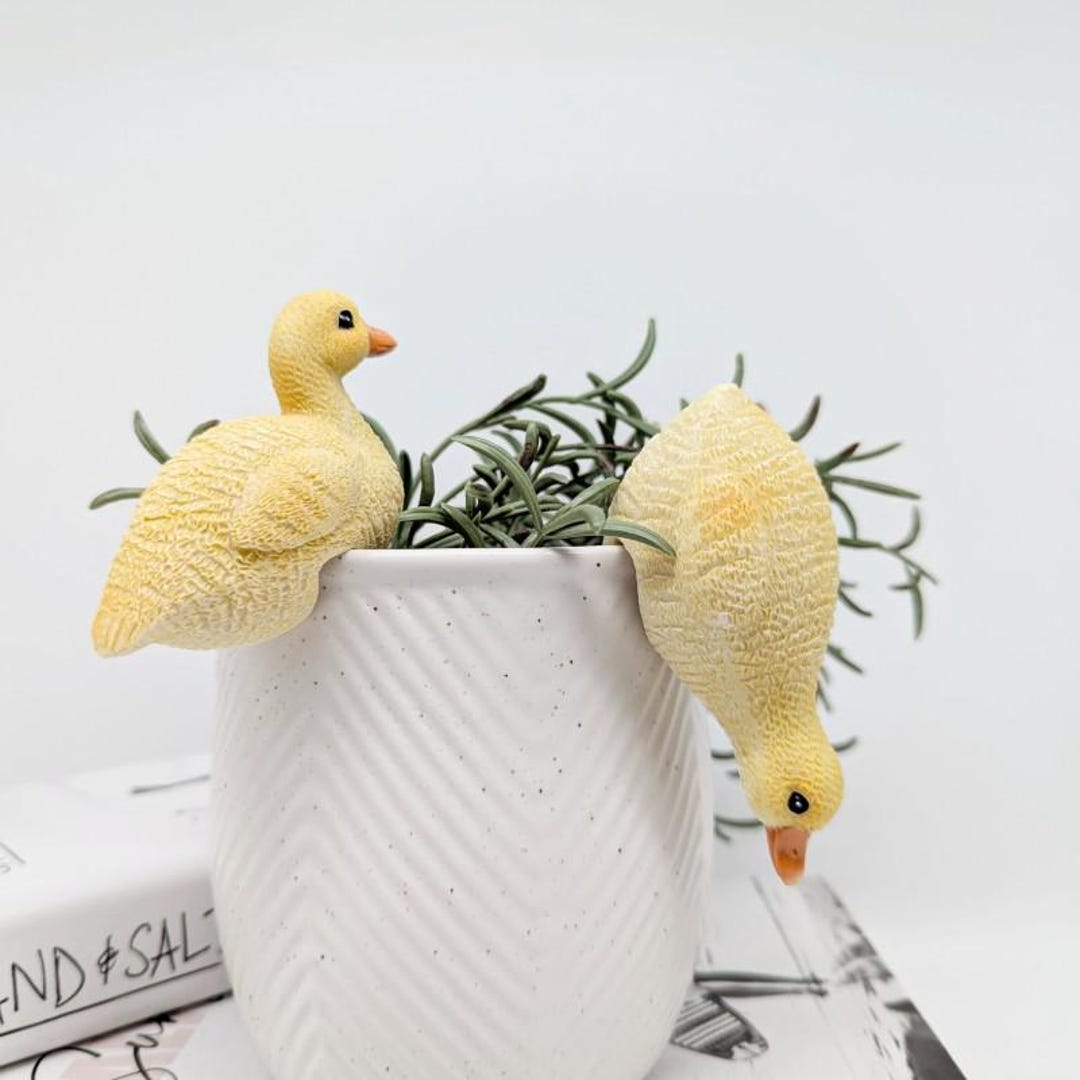 Yellow Duck Duo Pot Hanger Sitter | Pot Accessories | Pot Climber ...