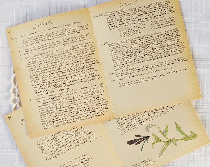 June Edith Holden Vintage Book Pages Pack the Country Diary of - Etsy