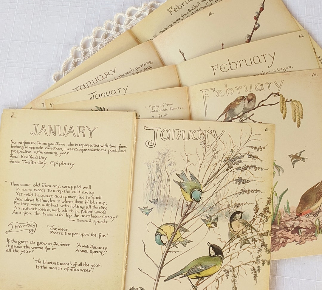 January - February Edith Holden Vintage Book Pages Pack the Country ...