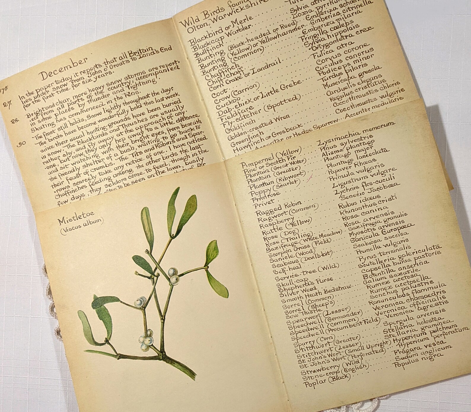 December Edith Holden Vintage Book Pages Pack the Country - Etsy