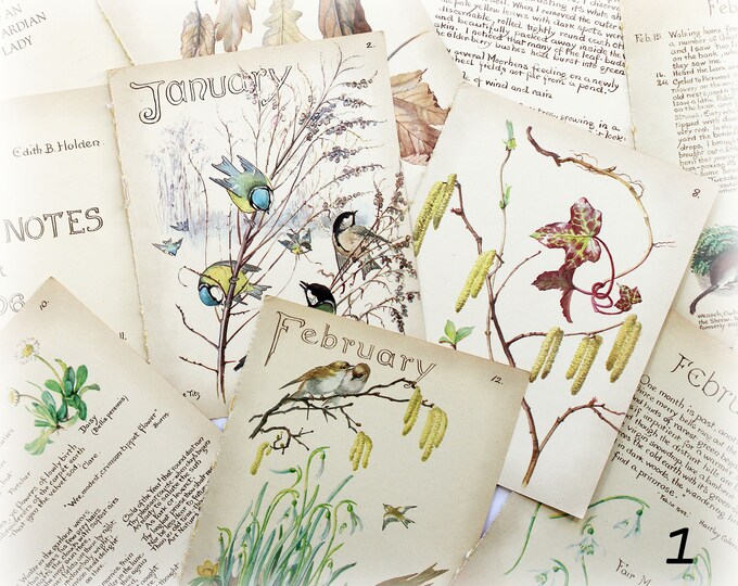 Small Edith Holden Vintage Book Pages Pack the Country Diary of an ...