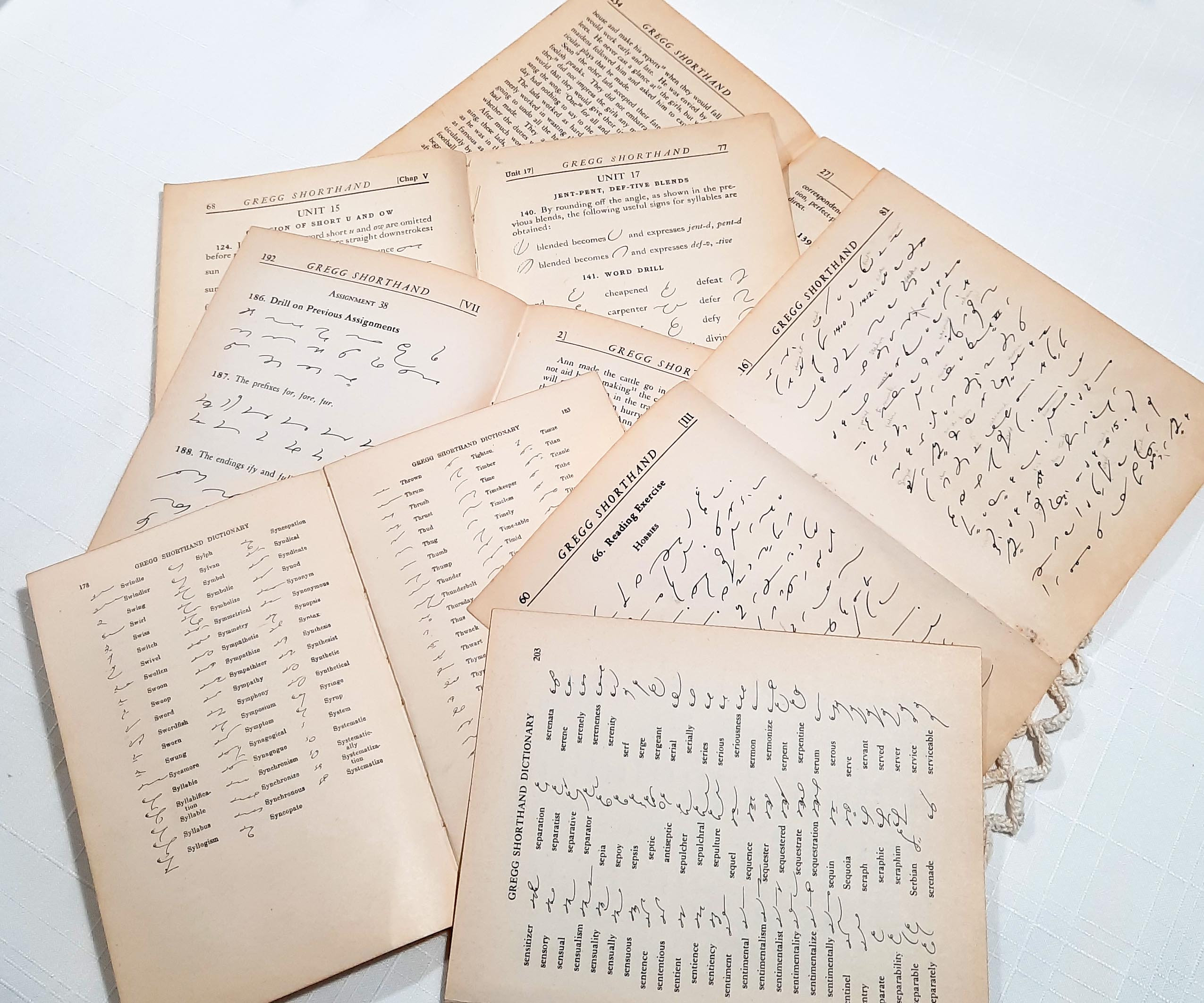 10 Vintage Gregg Shorthand Book Pages Dictionary and | Etsy