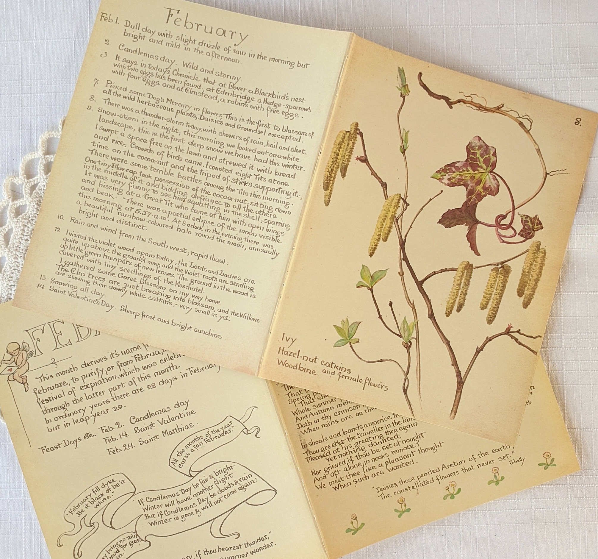 January February Edith Holden Vintage Book Pages Pack the - Etsy