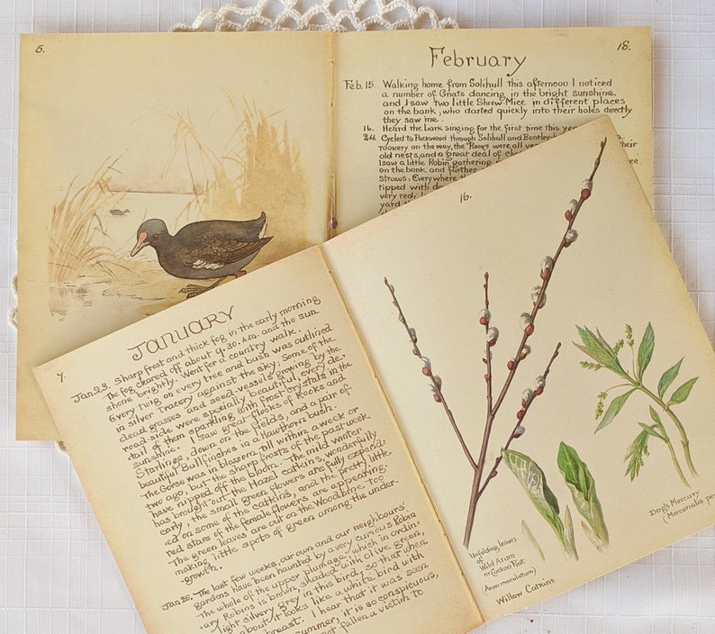 January February Edith Holden Vintage Book Pages Pack the - Etsy