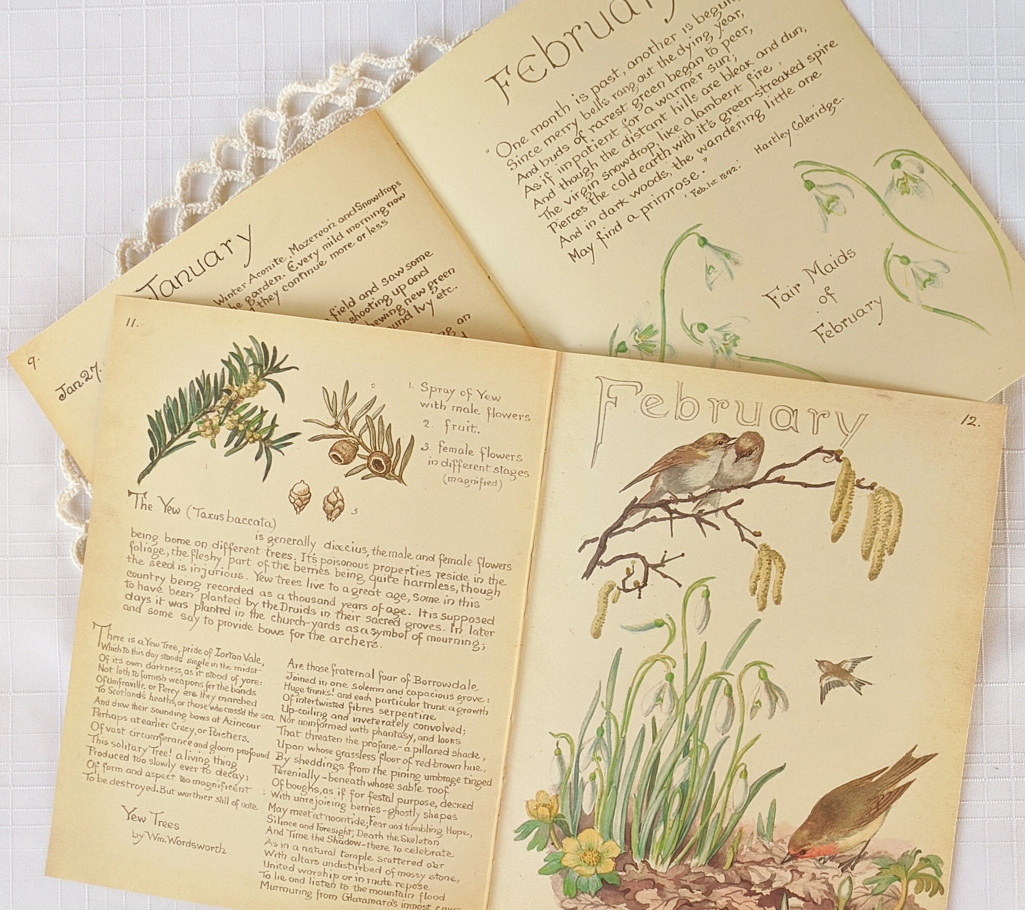 January February Edith Holden Vintage Book Pages Pack the - Etsy