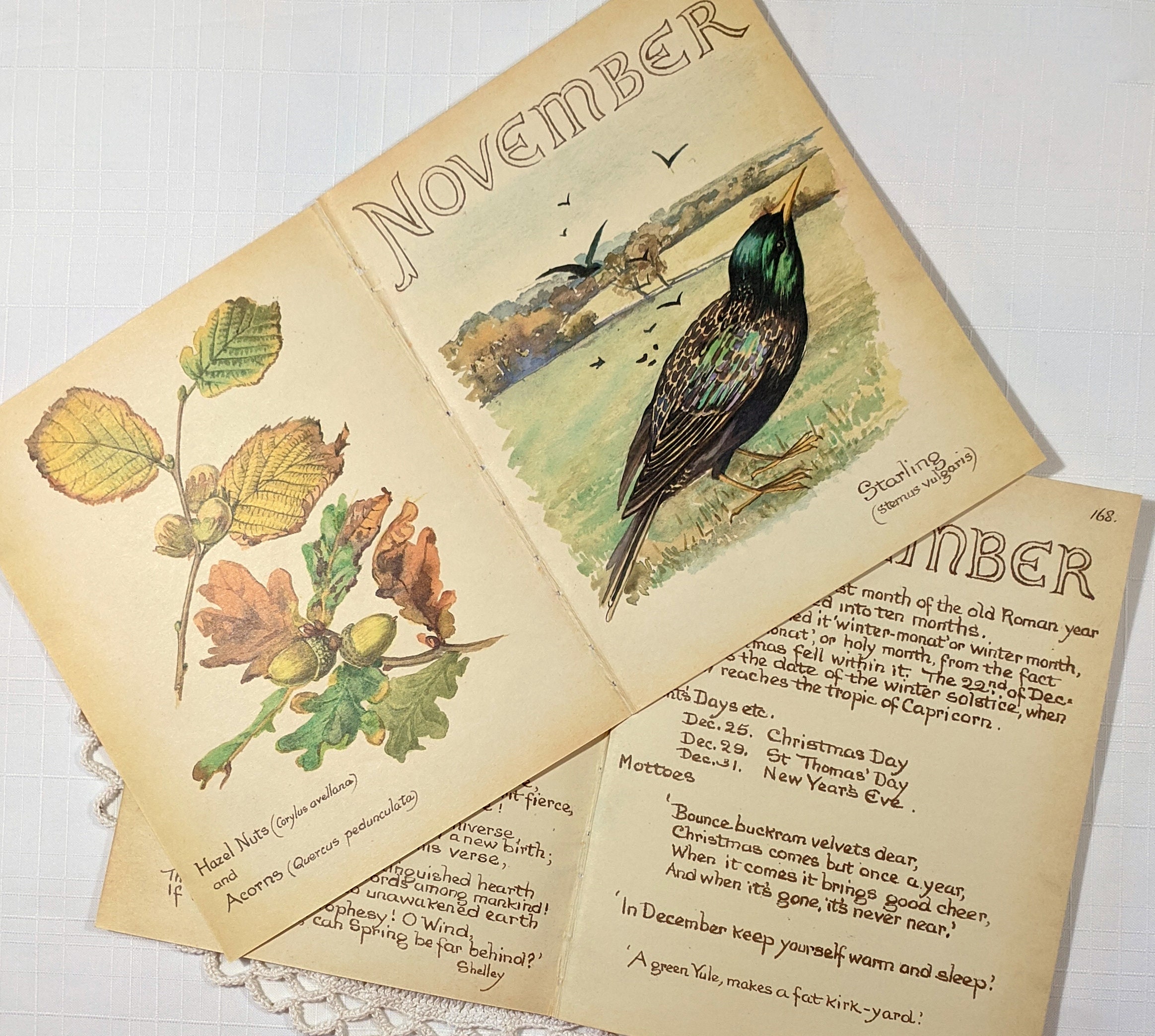 November Edith Holden Vintage Book Pages Pack The Country Diary of an ...