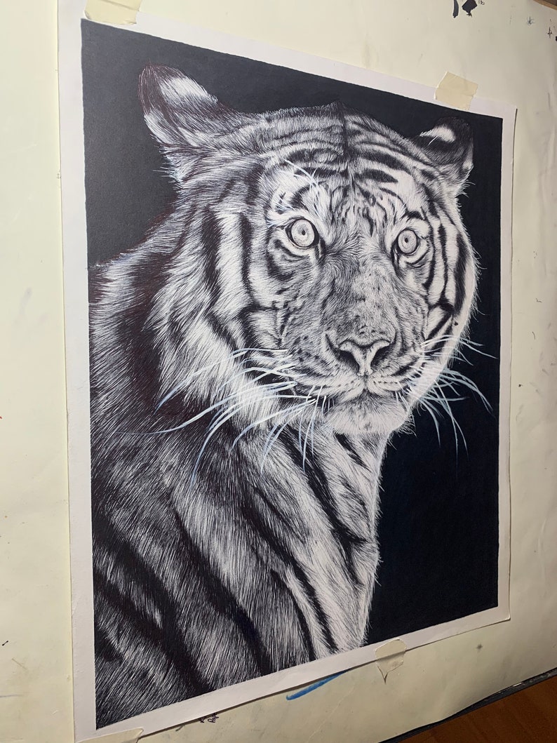 Hunt” - Tiger Drawing - Etsy