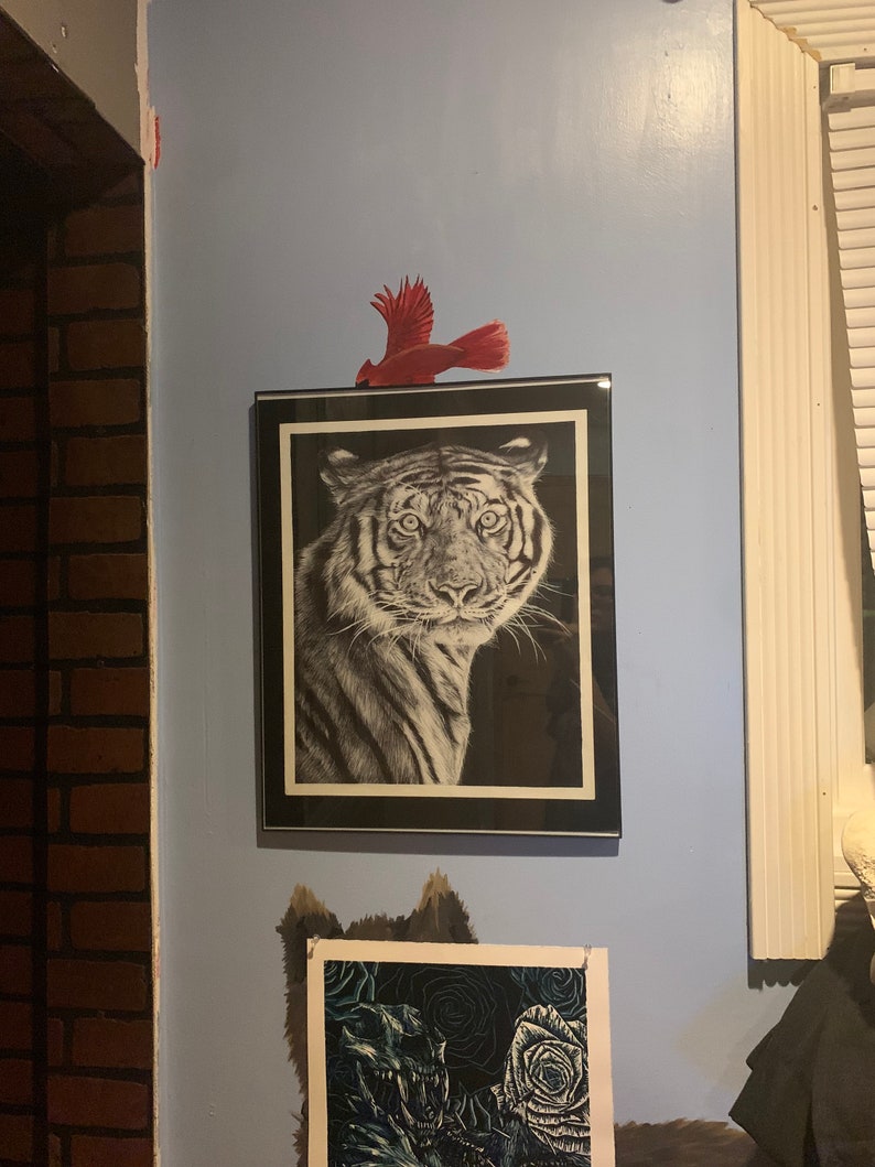 Hunt” - Tiger Drawing - Etsy